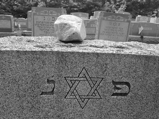 The Vision Before You – David Evan Markus