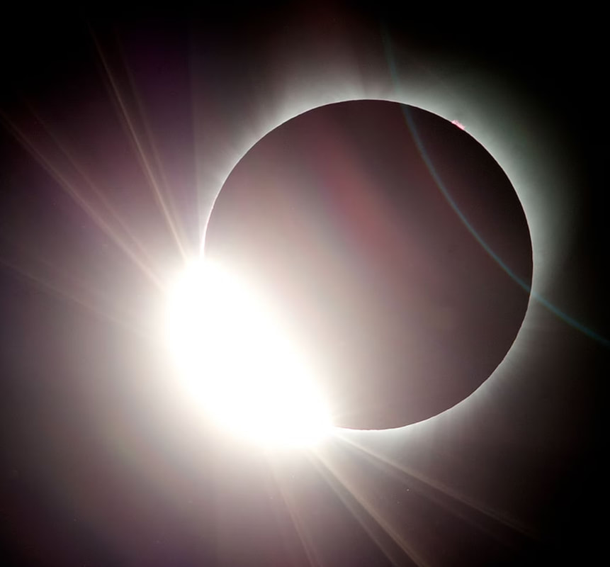 The Strangest Fire (P. Shemini) – David Evan Markus